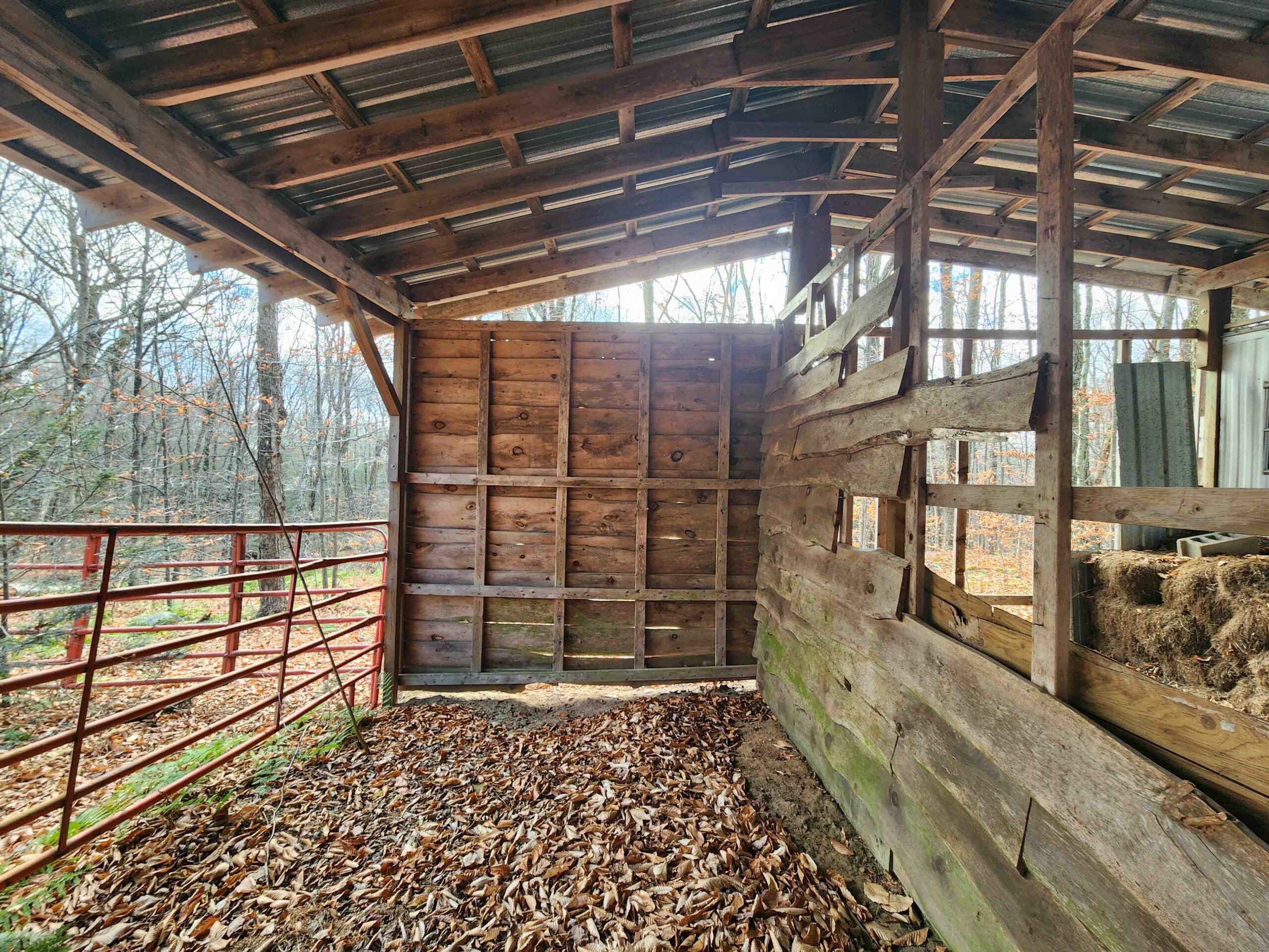 20241105_085100aaaaa